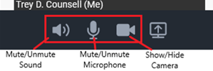 How do I mute the sound / mute my microphone / turn off my camera ...